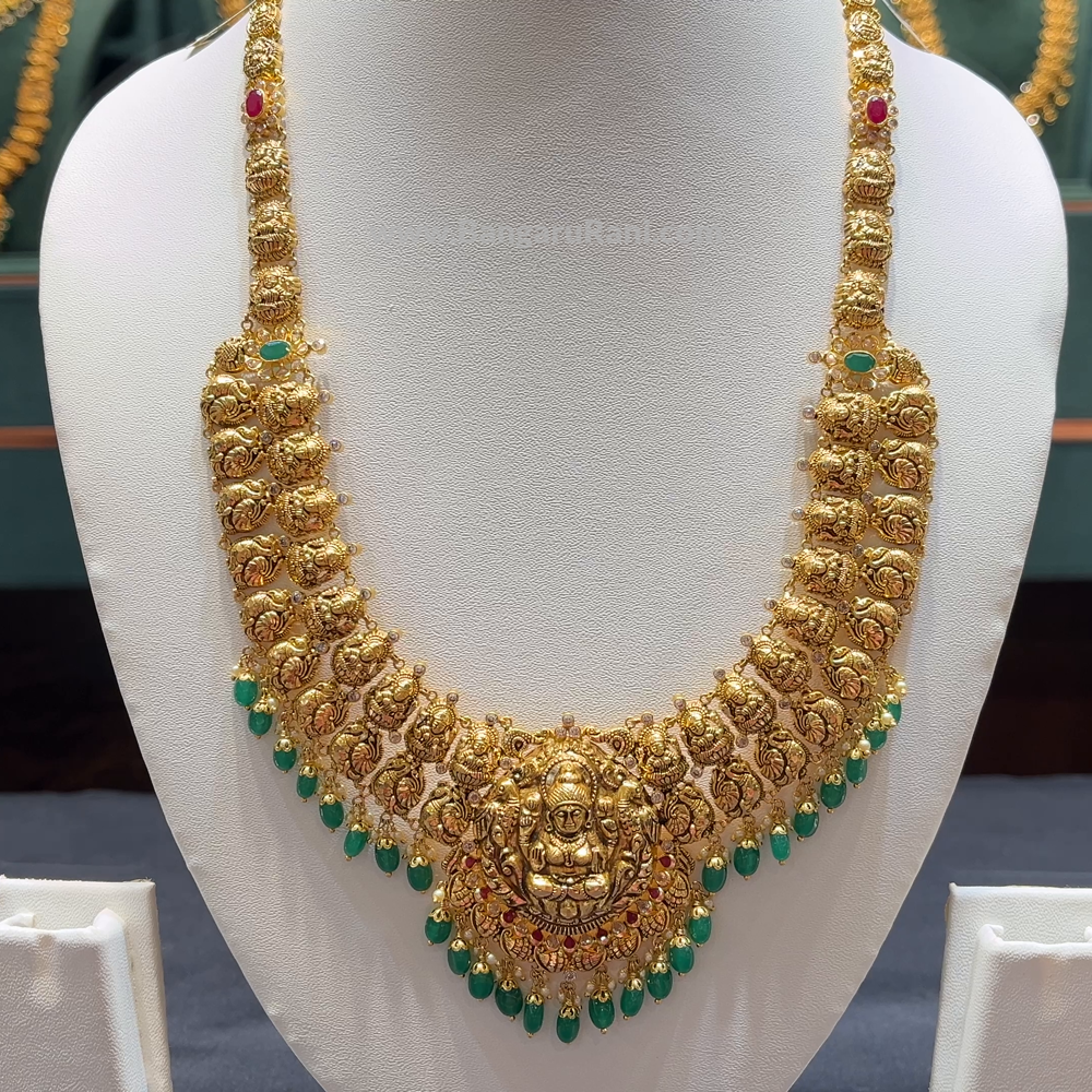 CMR 33.04gms HARAMS 22K Nakshi – BangaruRani